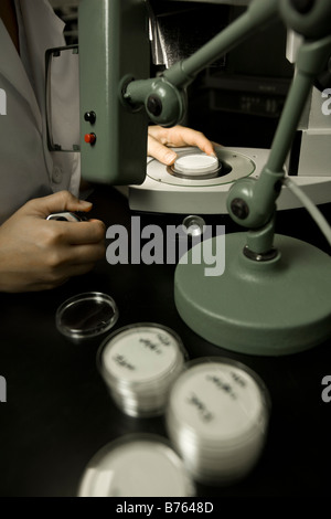 Scientist performing a bacteria count, Membrane filtration method ...