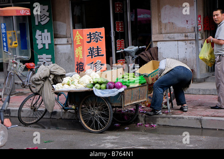 A Chinese man selling his fresh produce on a street market, HoHot ...