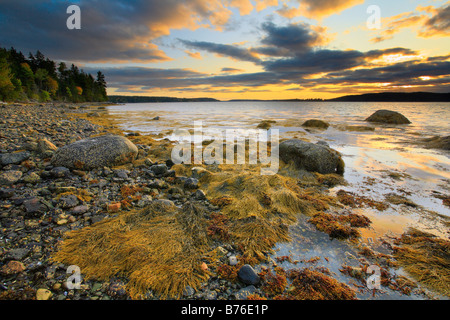 Sunset, Pretty Marsh, Acadia National Park, Maine, USA Stock Photo - Alamy