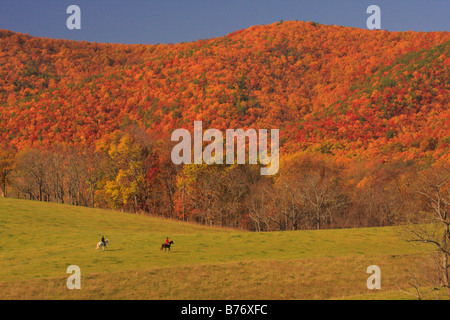 Fox Hunt, Swoope, Shenandoah Valley, Virginia, USA Stock Photo - Alamy