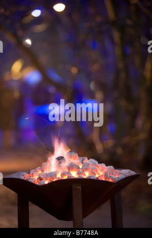 fire basin in the forrest Stock Photo - Alamy