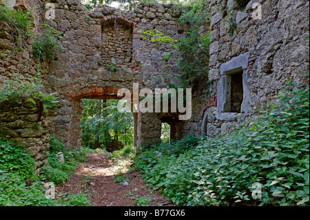 Klingenberg Castle ruins near St. Thomas am Blasenstein, Muehlviertel ...