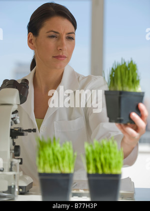 Plants, thinking and science woman for test tube, solution or analysis ...