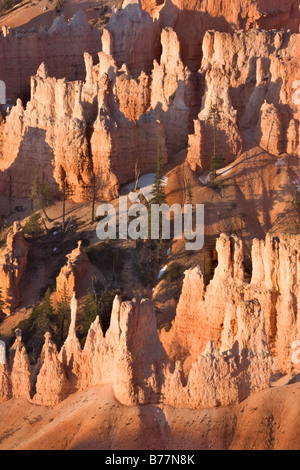 Rim of Bryce Canyon Seen From A Distant Trail below it Stock Photo - Alamy