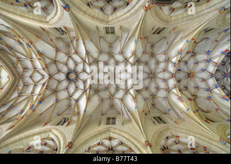 Interior, reticulated vaulting, nave ceiling, Gothic cathedral of La ...