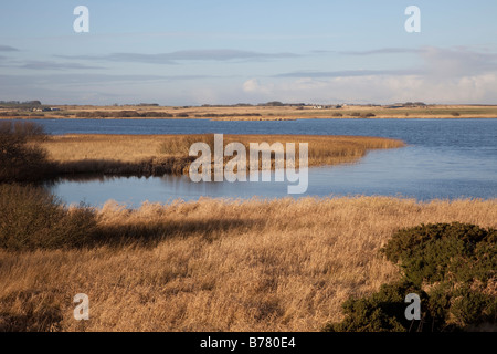 RSPB Strathbeg Wetland Scottish Nature Reserve, Britain's largest dune ...