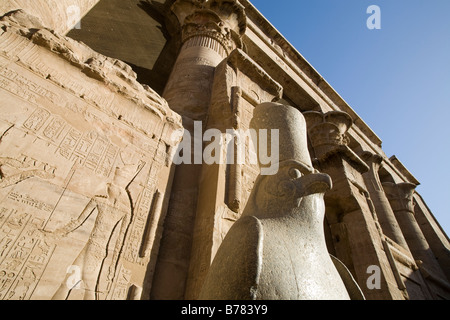 Close up of the statue of Horus of Behdet in the forecourt at the ...