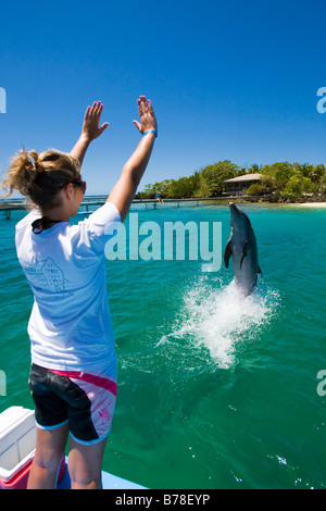 Dolphin show at Anthony's Key Resort in Roatan Stock Photo - Alamy