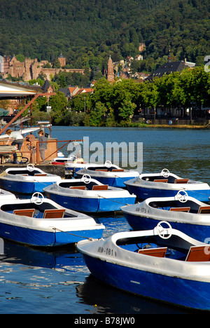 Boat on the Neckar River, boat hire, Tuebingen, Baden-Wuerttemberg ...