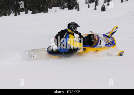 Snowmobile-action at Dunton Hot Springs, Colorado, USA Stock Photo - Alamy