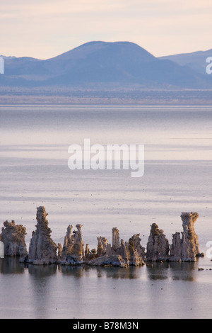 Tufa towers on the coast of Mono Lake, California Stock Photo - Alamy