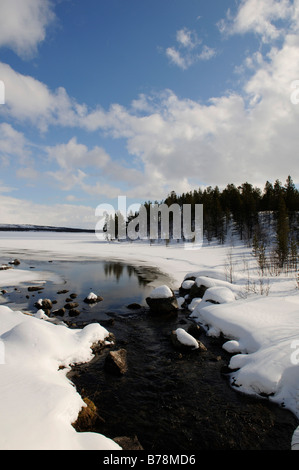 Finland - Lapland. Forest near Inari Stock Photo - Alamy