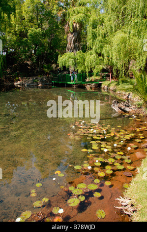 A freshwater Spring at "die Oog" or "the eye" which is the source of ...
