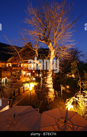 The Mowana Lodge on the Chobe at dusk with a large baobab tree as a ...
