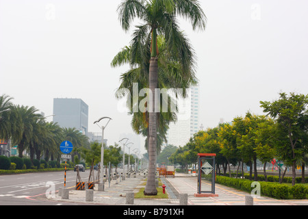 Sidewalk and palm trees in Tainan, Taiwan Stock Photo - Alamy
