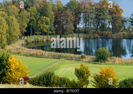 Germany, Baden-Wuerttemberg, Illmensee, autumn landscape at Illmensee ...