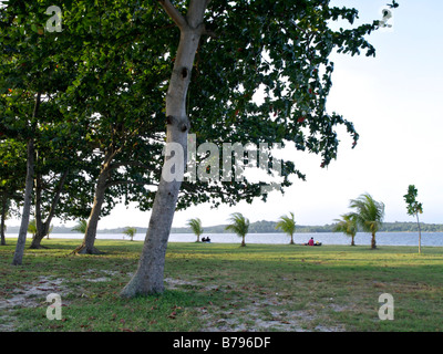 Changi Beach Park, Singapore Stock Photo - Alamy