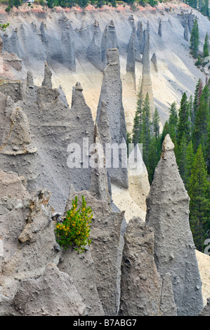 The Pinnacles', tourist attraction of Crater Lake National Park, Oregon ...