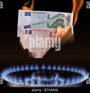 Money burns. Euro banknotes burning in flames Stock Photo - Alamy