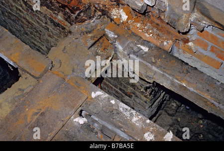 Wet Rot - Coniophora cerebella (Cellar Rot) affection woodwork in old ...