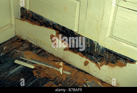 dry rot in a skirting board in an old cottage Stock Photo - Alamy