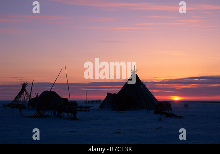 Nenets winter camp at Yamal Peninsula Stock Photo - Alamy