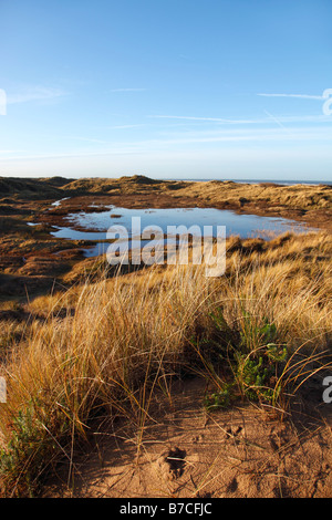 Coastal sand dunes and a flooded dune slack, Kenfig NNR, Glamorgan ...