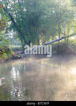 Morning mist over the water in the UNESCO Danube Delta Biosphere ...