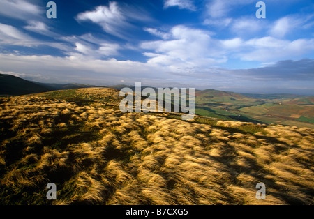 Yeavering Bell near Wooler, Northumberland. The hill was the site of ...