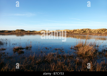 Sand dune habitat with seasonal flooded slack in winterainsdale Stock ...