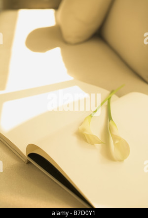 Blank book and flower on color background Stock Photo - Alamy