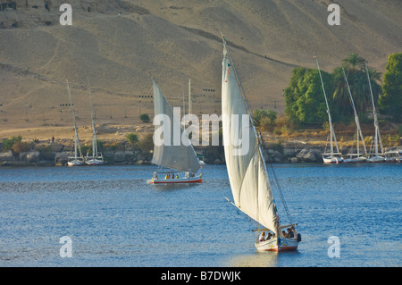 A Felucca, a traditional wooden sailing boats on the River Nile Aswan ...
