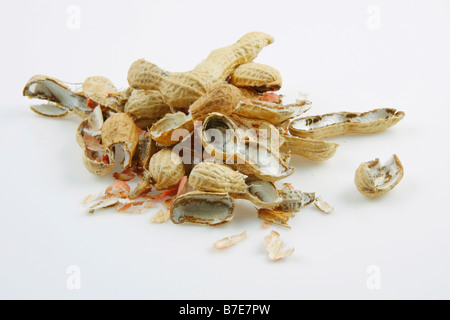 cracked shells of roasted peanuts Stock Photo - Alamy
