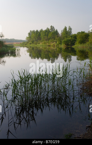 Elva River, Tartu County, Estonia, Europe Stock Photo - Alamy