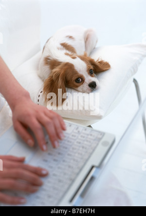 Personal Computer Scene Stock Photo - Alamy