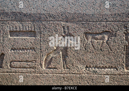 Hieroglyphs including a rare image of the god Seth Tanis Egypt 081111 ...