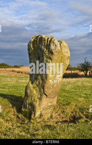 dh Warrior stone TYNEDALE NORTHUMBRIA Neolithic bronze age standing ...