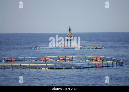 Tug Towing Tuna Cage between Fishing grounds in Libya and Tuna Farms in ...