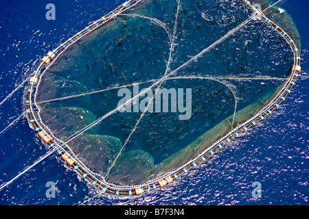 Tug Towing Tuna Cage between Fishing grounds in Libya and Tuna Farms in ...