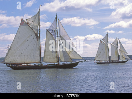 schooners Bluenose II and Highlander Sea in full sail in Halifax, Nova ...
