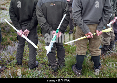 Grouse beaters with flags on a grouse shoot on moors in Scotland, UK ...