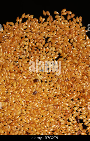 Linum usitatissimum - Flax seeds and oil Stock Photo - Alamy