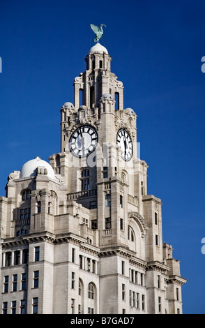 Corner Clock Tower & Liver Bird of the Royal Liver Building (1908-1911 ...