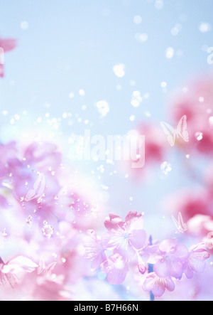 Vertical image of beautiful blue spring flowers in garden setting Stock ...