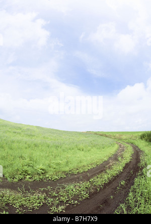 Vertical shot of a path in grassland and trees Stock Photo - Alamy