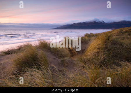 Irish Landscape image of dunes, beach and coast at Murlough Beach ...