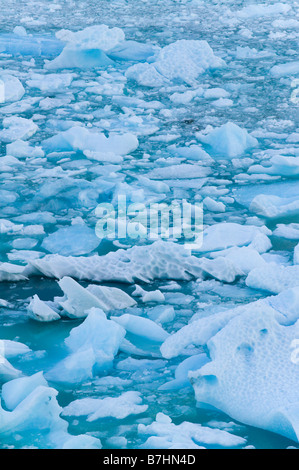 Perito Moreno Glacier blue ice in Argentina, Patagonia. Iceberg and ice ...