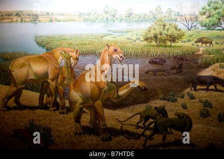 Neogene period Stock Photo: 84971824 - Alamy