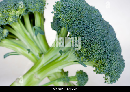 Two bunches of broccoli Stock Photo - Alamy