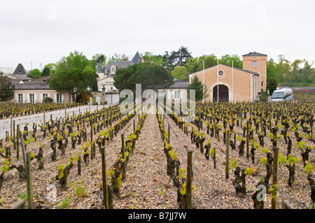 sandy gravelly soil vineyard chateau haut brion pessac leognan graves ...